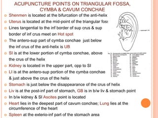 aucupuncture Auriculotherapy.ppt