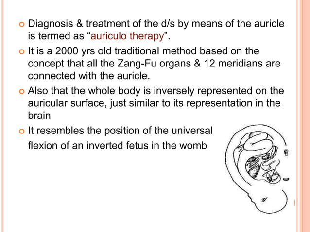 aucupuncture Auriculotherapy.ppt