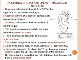 aucupuncture Auriculotherapy.ppt