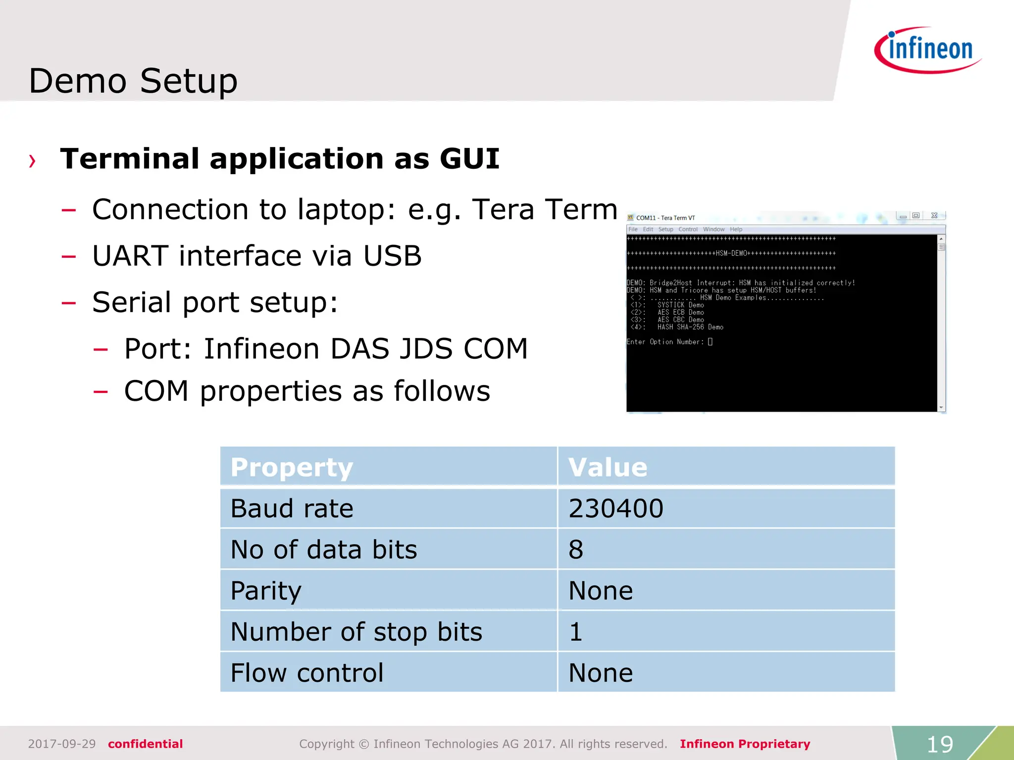 Infineon_AURIX_HSM Revealed_Training_Slides.pdf