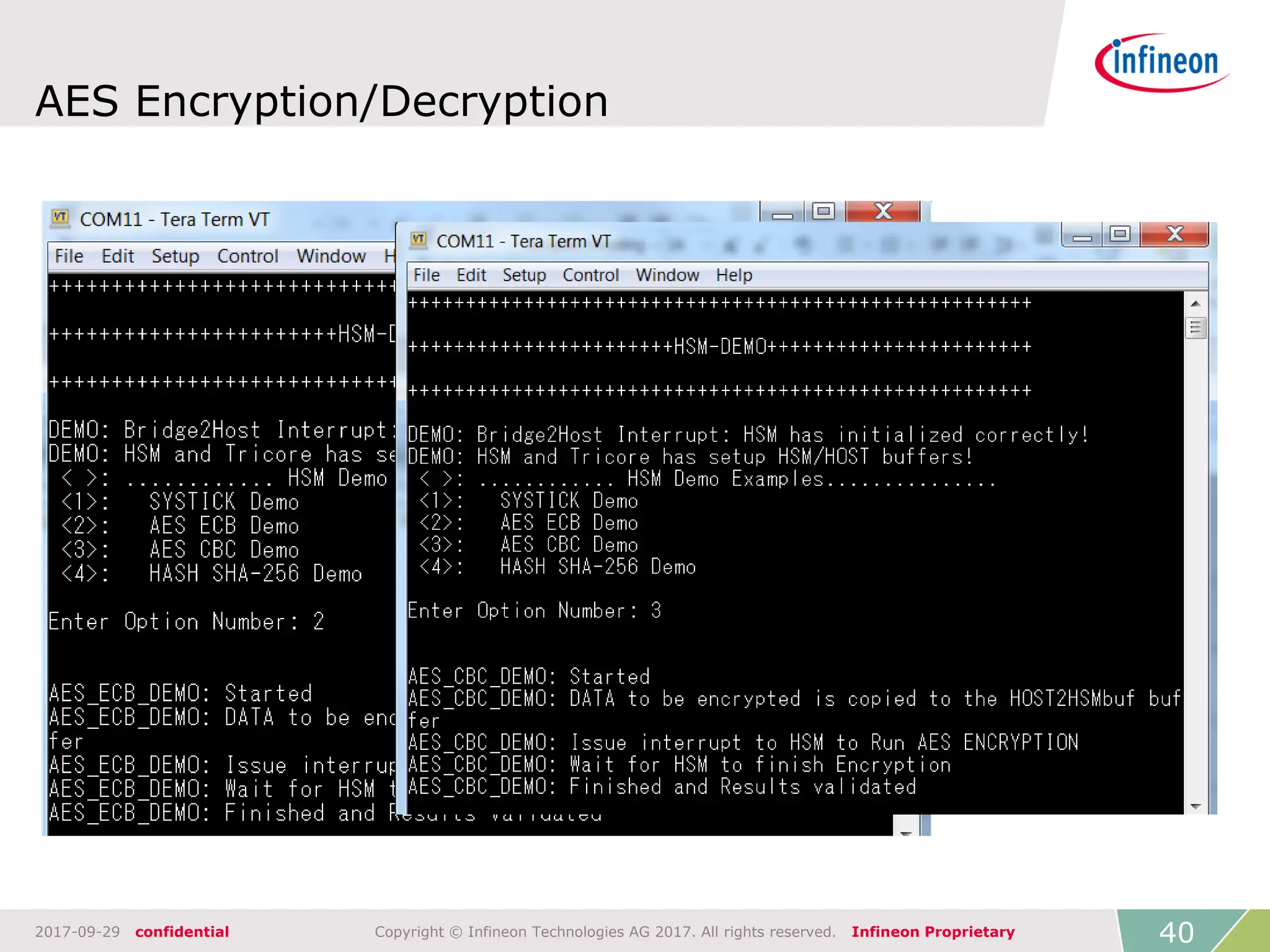 Infineon_AURIX_HSM Revealed_Training_Slides.pdf