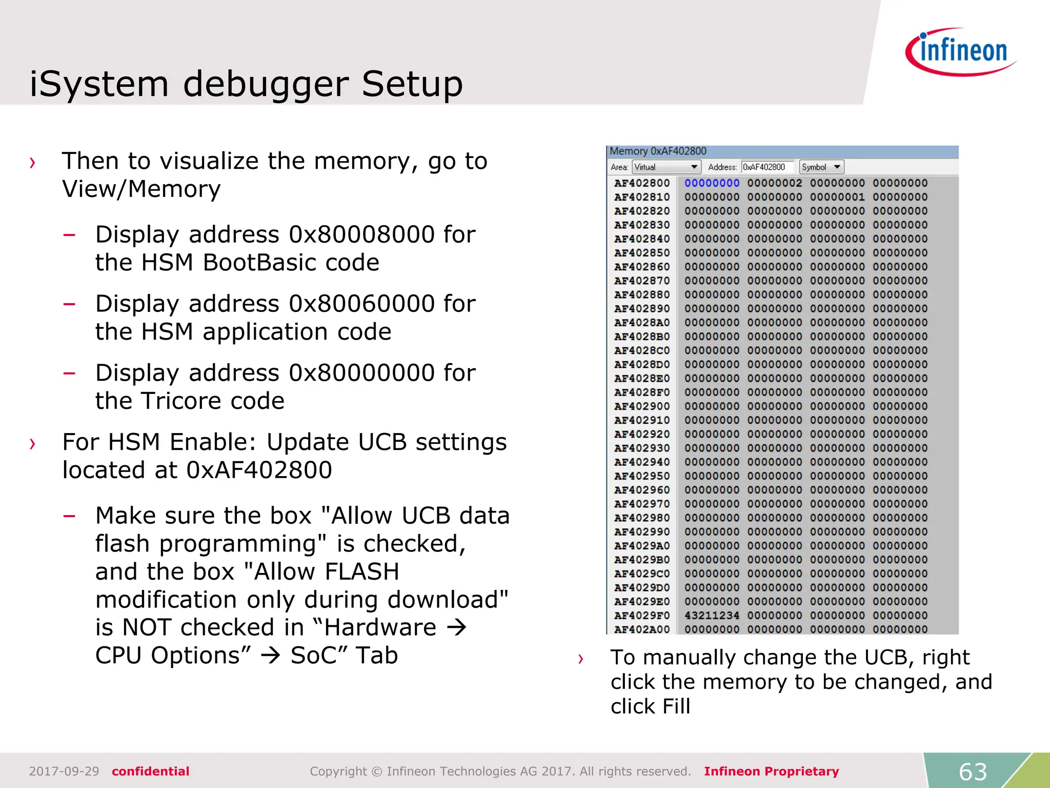 Infineon_AURIX_HSM Revealed_Training_Slides.pdf