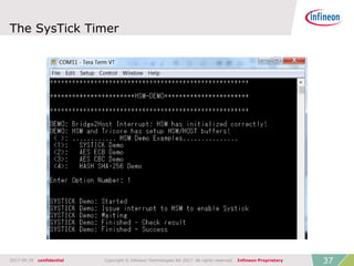 Infineon_AURIX_HSM Revealed_Training_Slides.pdf