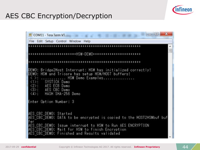 Infineon_AURIX_HSM Revealed_Training_Slides.pdf