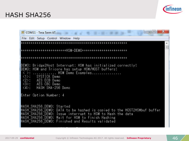 Infineon_AURIX_HSM Revealed_Training_Slides.pdf