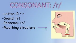 VOWELS AND CONSONANTS | PPTX | Food & Drink