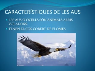 Aus | PDF