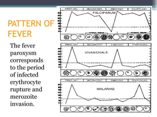 Malaria | PPTX