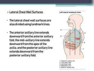 Areas of Auscutation.pptx