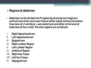 Areas of Auscutation.pptx
