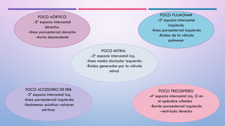 AUSCULTACIÓN DEL SISTEMA CARDIOVASCULAR.pptx