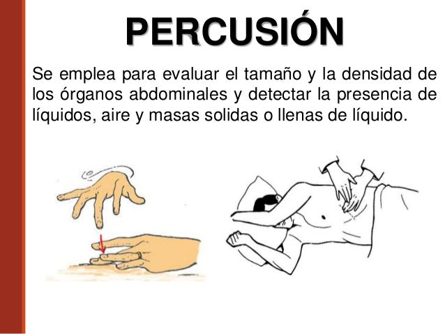 Auscultación y Percusión Abdominal