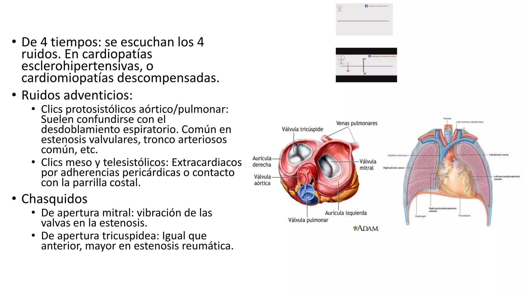 Auscultacion cardiaca | PPTX