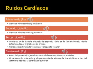 Técnicas de Auscultación | PPTX