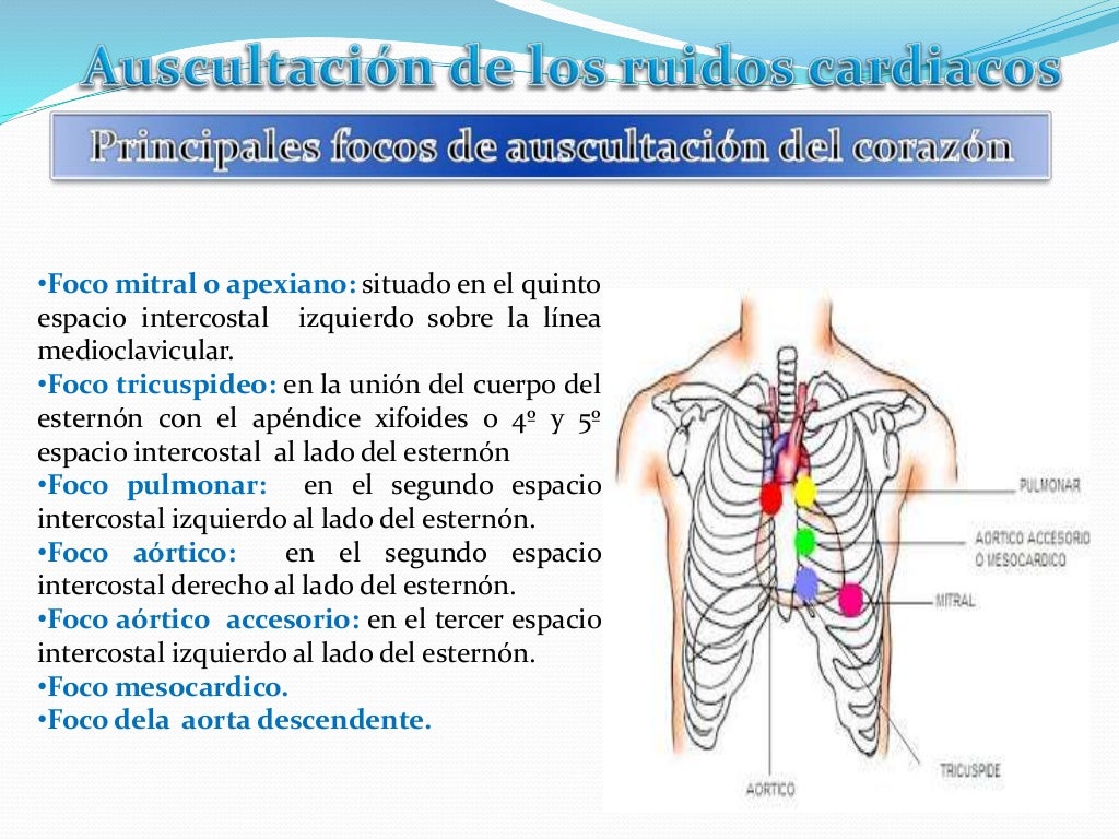 Semiologia Auscultacion cardiovascular