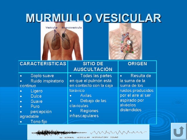 Auscultacion del aparato respiratorio dr. sandy cadena