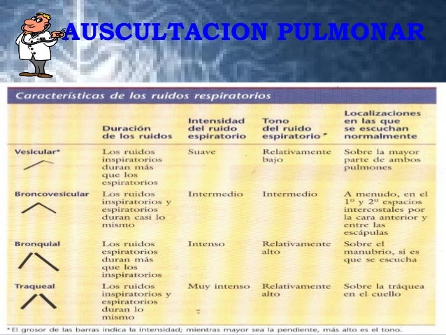 Auscultacion pulmonar