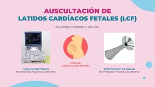 Auscultacvión cardiaca fetal.pptx