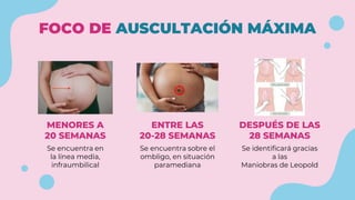 Auscultacvión cardiaca fetal.pptx