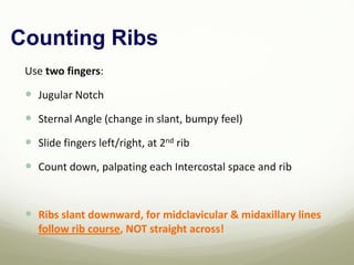 Chest Auscultation | PPTX