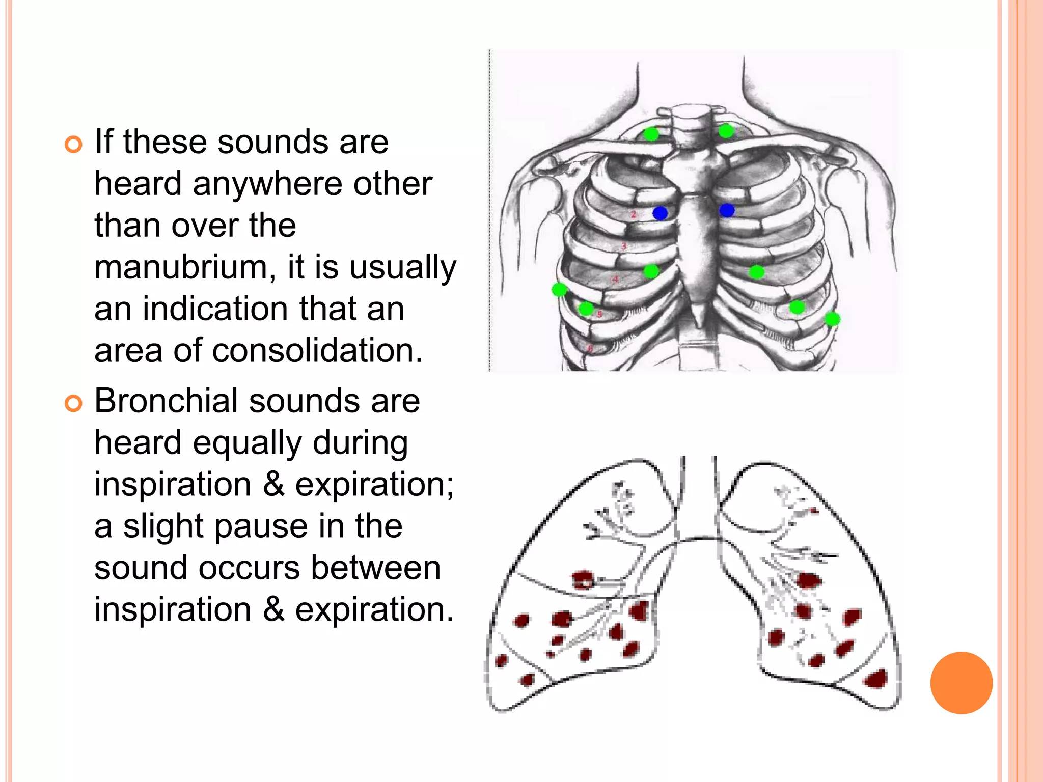 Auscultation | PPTX