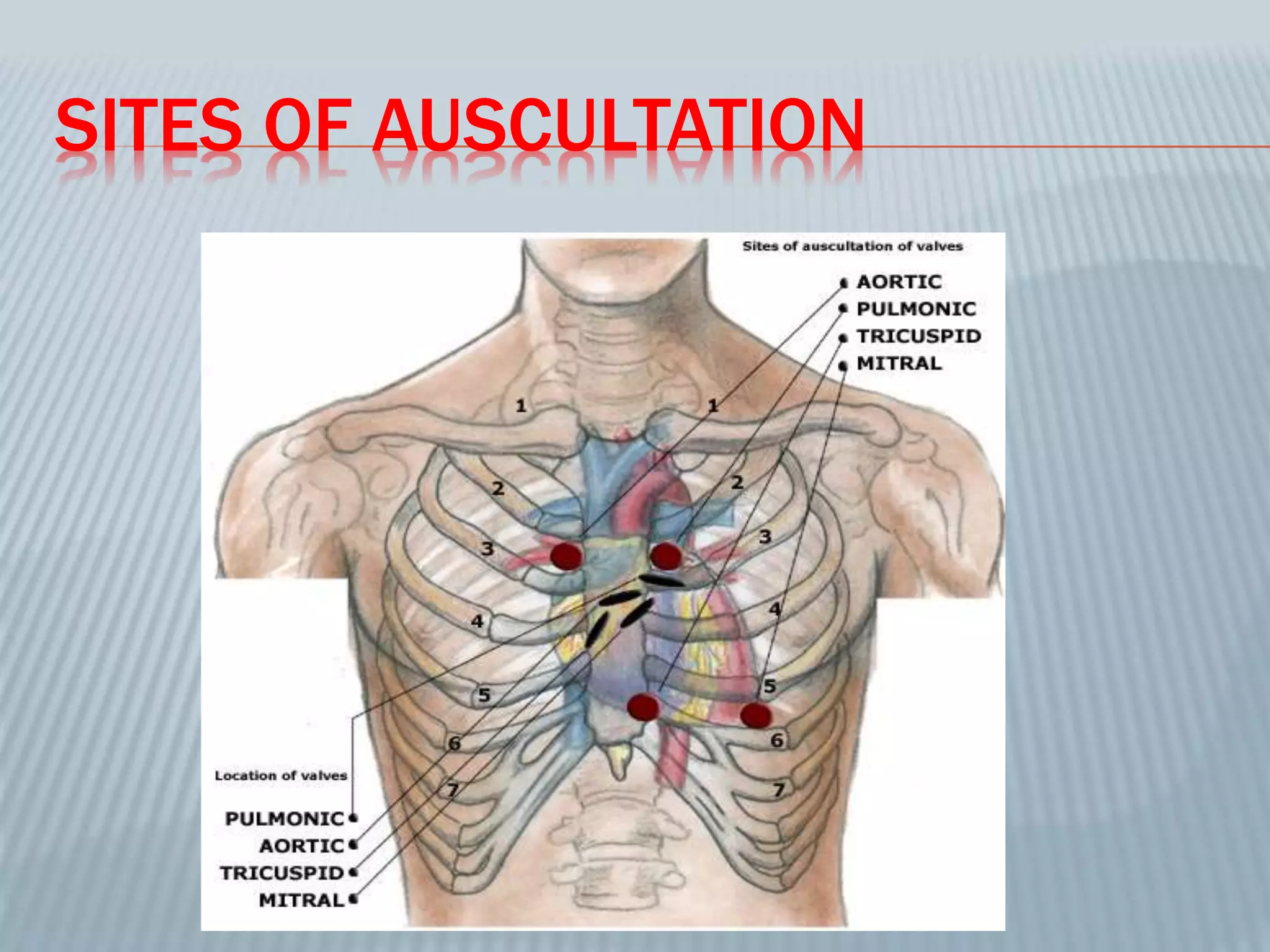 percussion and Auscultation of cardiovascular system with heart sounds ...