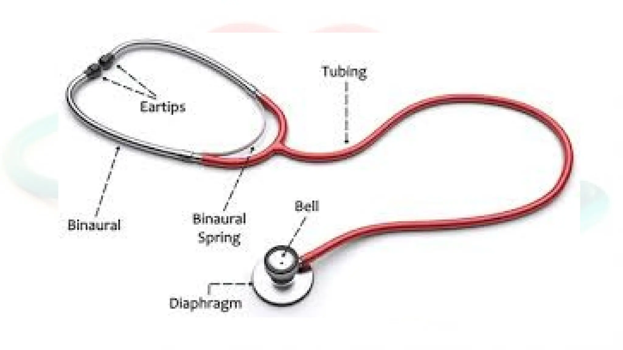 Auscultation of lung and heart sounds.pptx