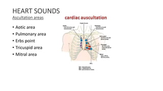 AUSCULTATION POINTS FOR PHARMACY STUDENTS.pptx
