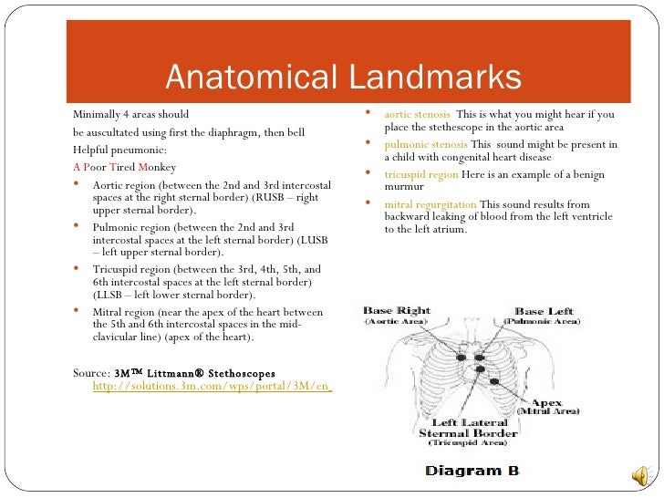 Auscultation Of Heart Sounds 4.5 Final