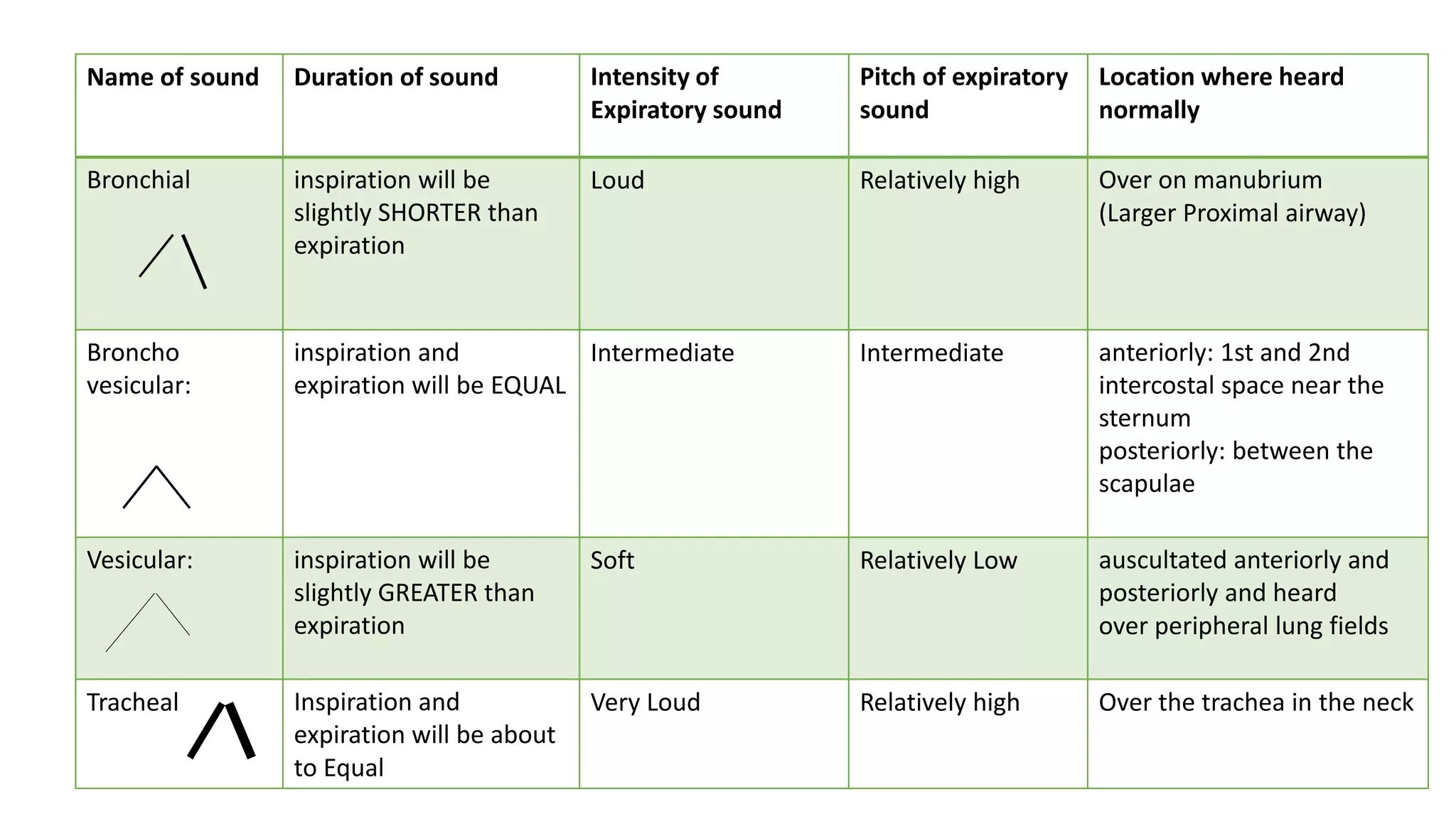 Auscultation of lungs and heart | PPTX