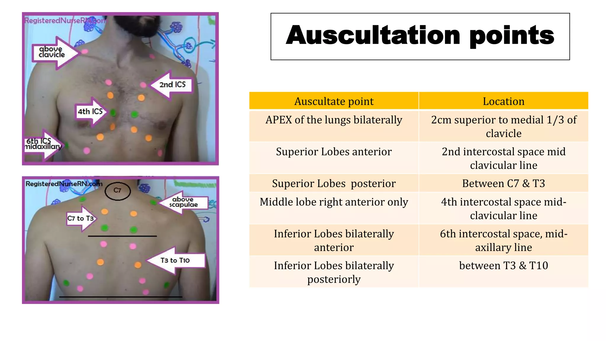 Auscultation of lungs and heart | PPTX
