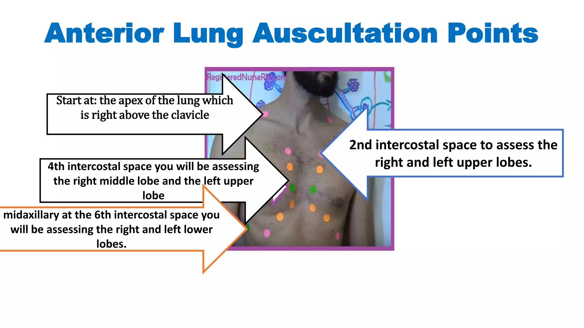 Auscultation of lungs and heart | PPTX