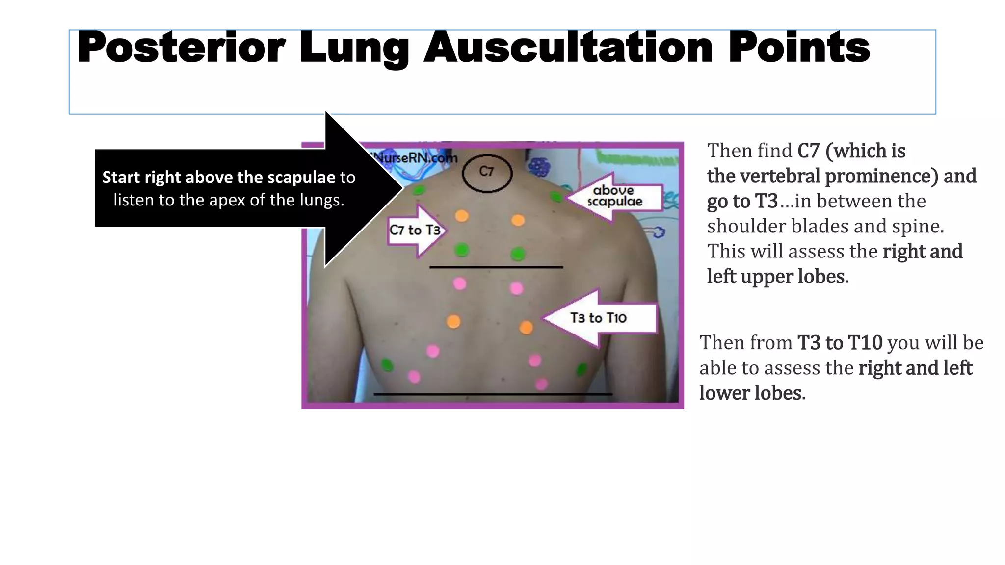 Auscultation of lungs and heart | PPTX