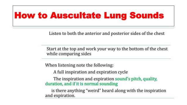 Auscultation of lungs and heart | PPTX