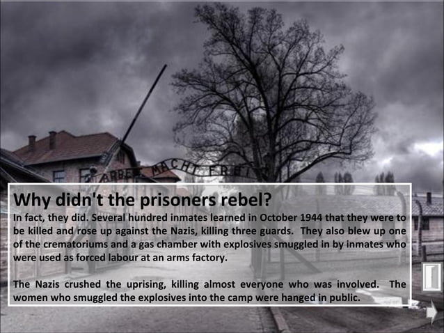 PowerPoint: Auschwitz Concentration Camp | PPT