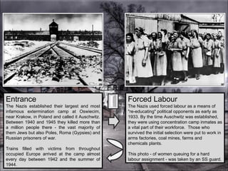 Holocaust Pictures Powerpoint