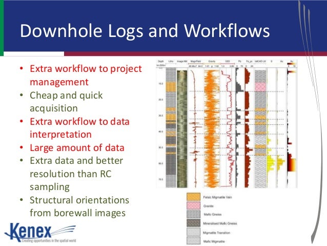 Downhole Logging in 3D Geology and Mineral Potential Modelling