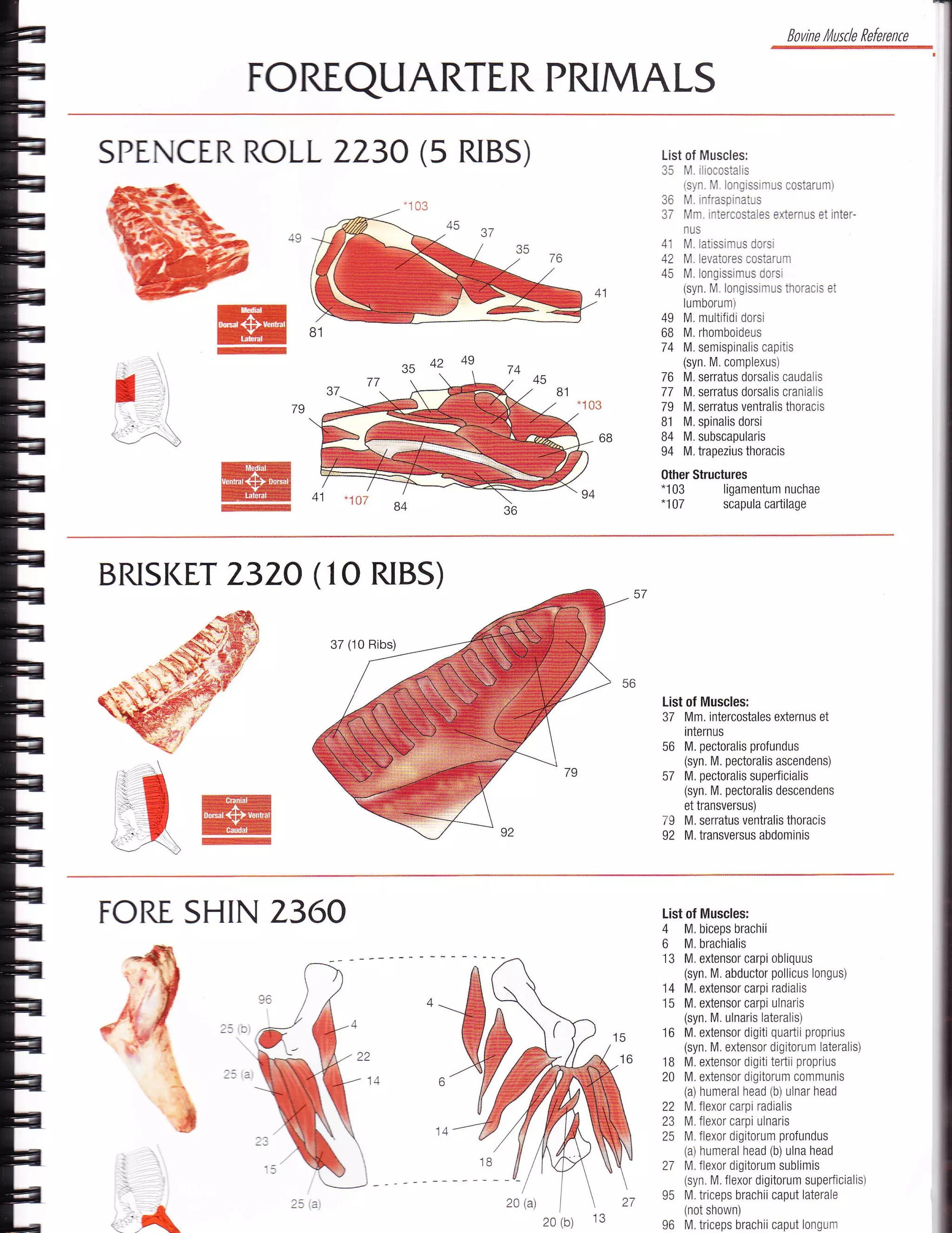 AUSMEAT Handbook Australian Meat | PDF