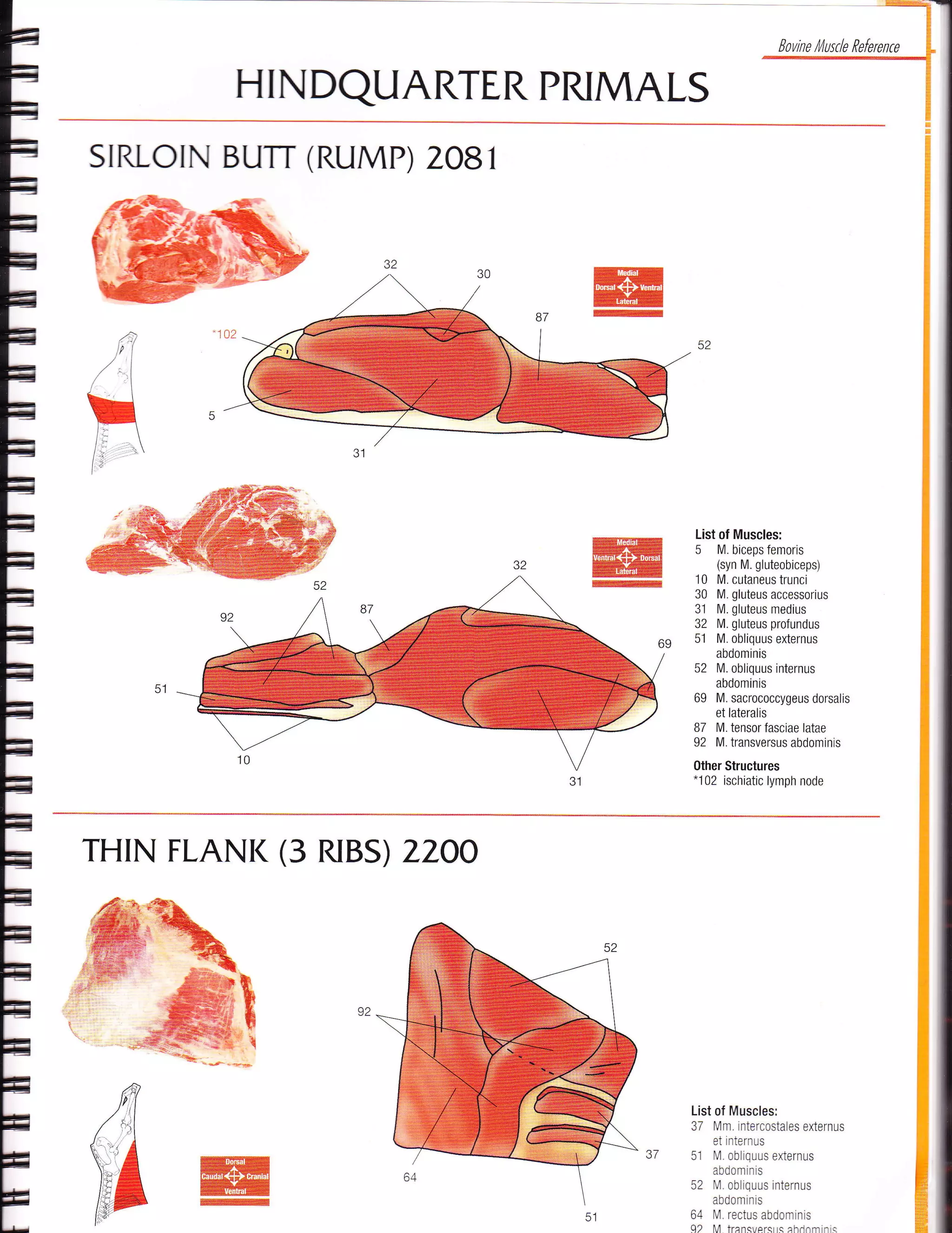 AUSMEAT Handbook Australian Meat | PDF