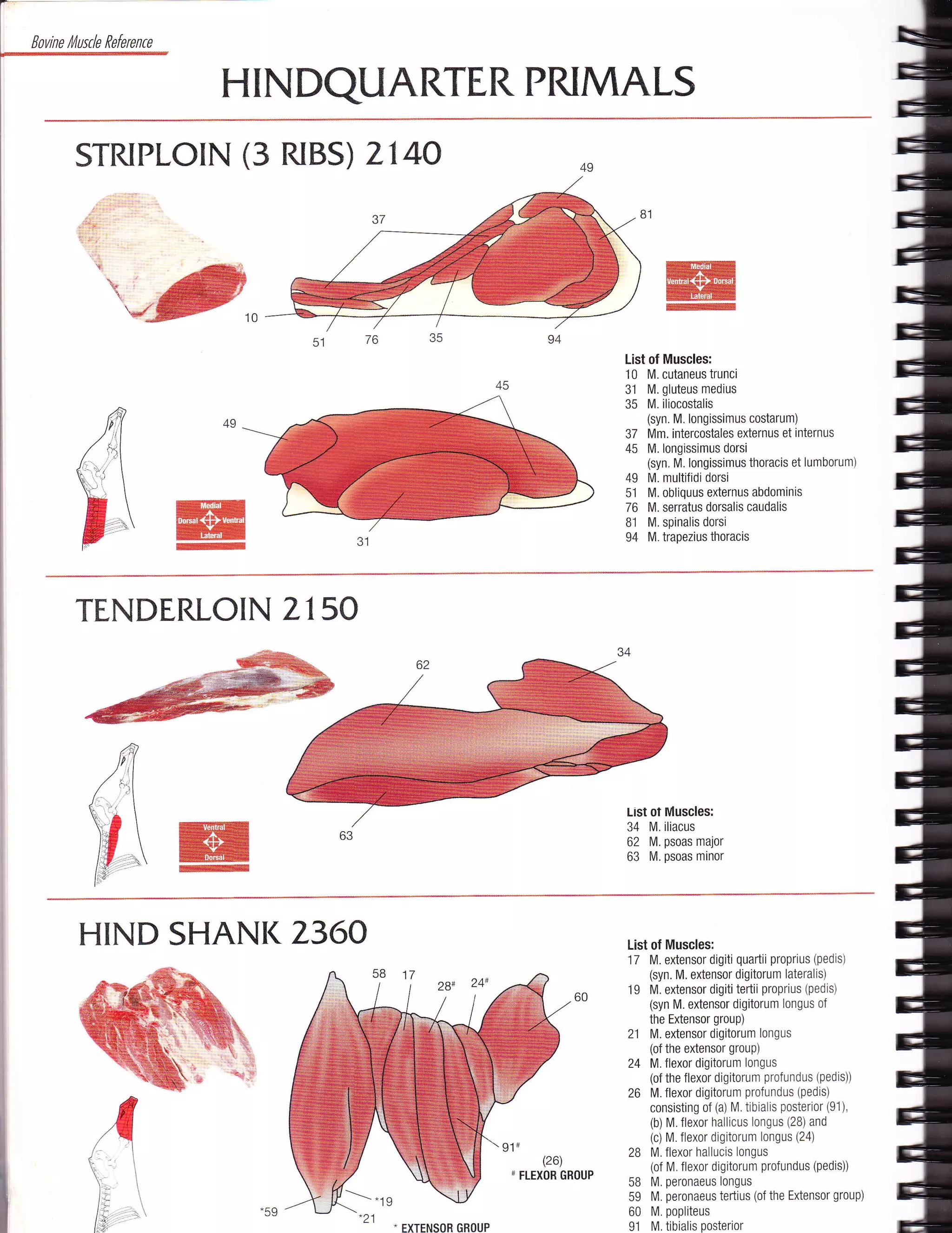 AUSMEAT Handbook Australian Meat | PDF