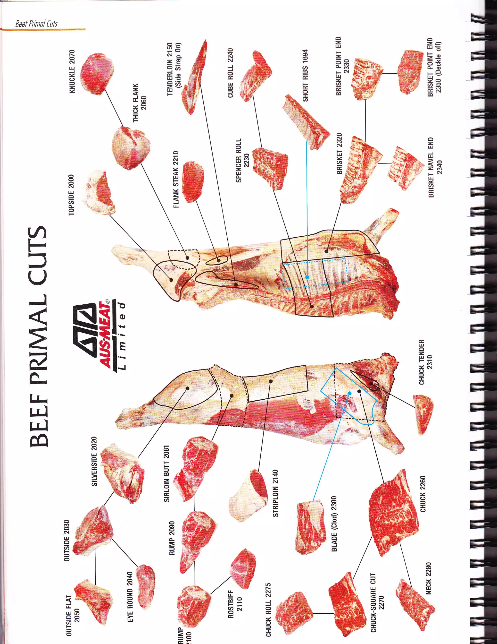 AUSMEAT Handbook Australian Meat | PDF