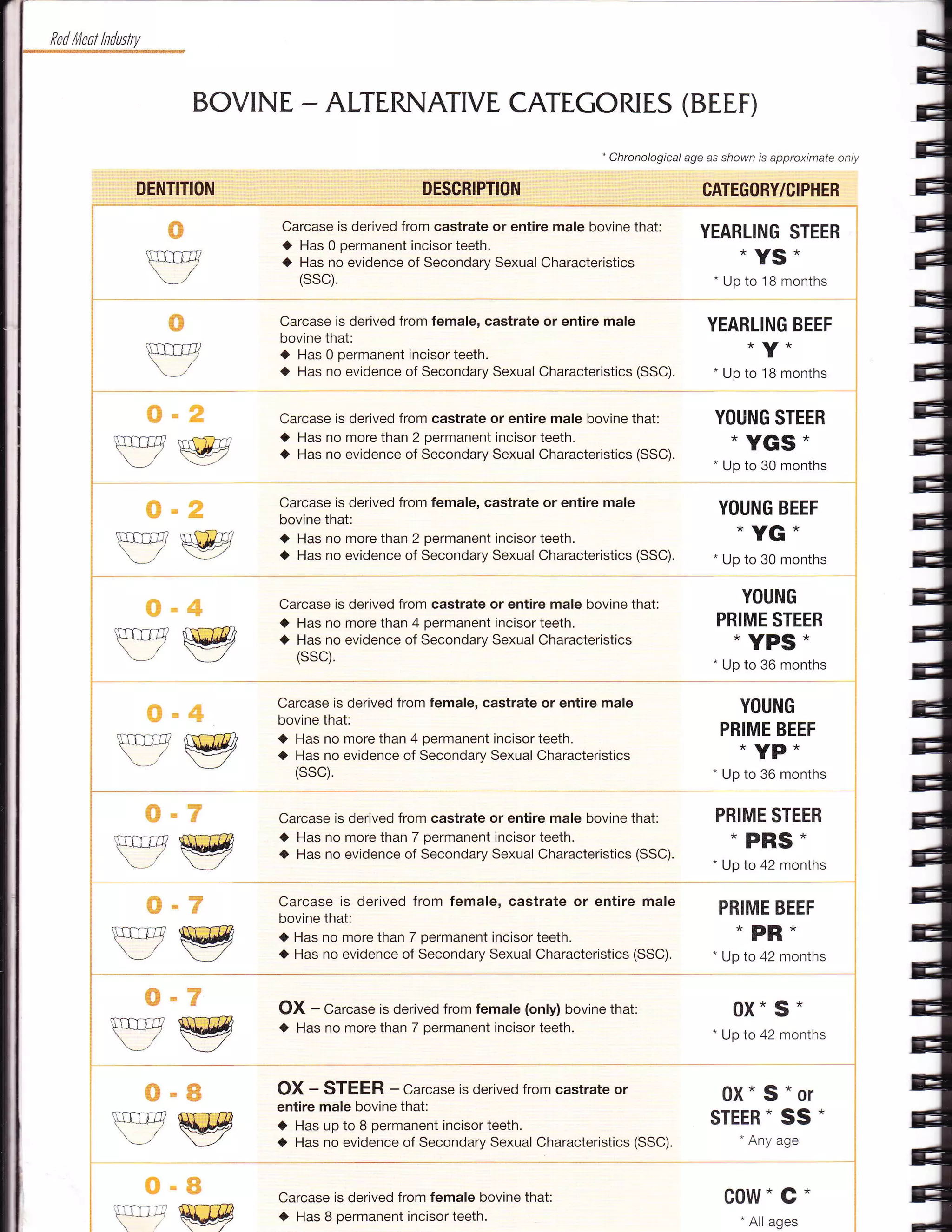 AUSMEAT Handbook Australian Meat | PDF