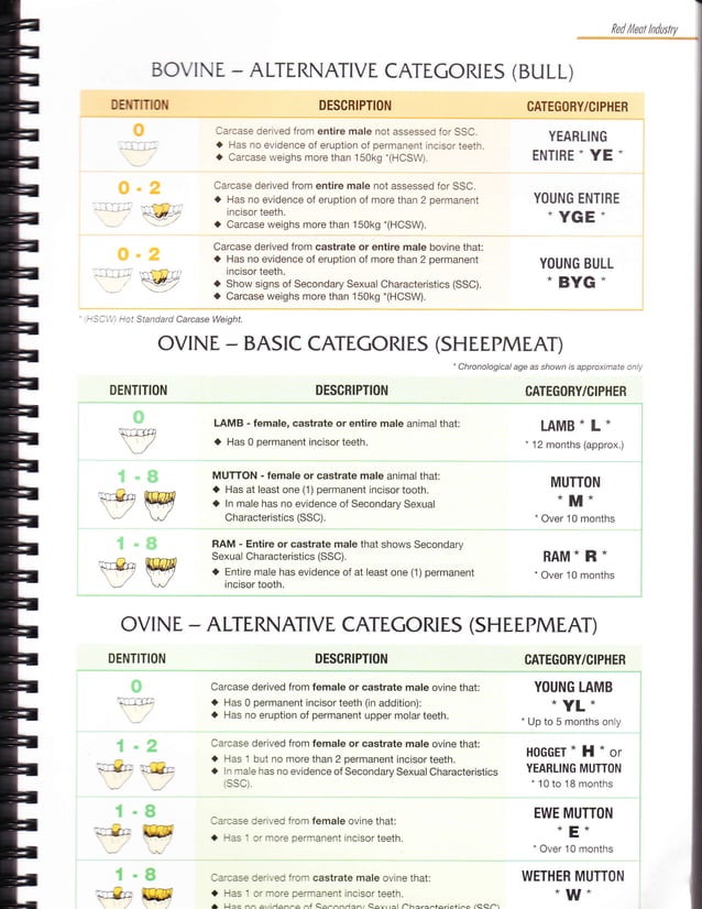 AUSMEAT Handbook Australian Meat | PDF | Food & Drink