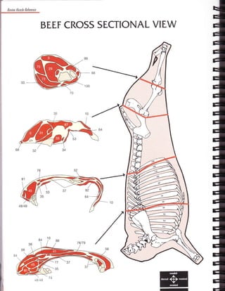 AUSMEAT Handbook Australian Meat | PDF