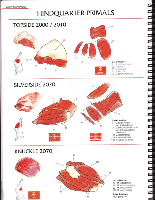 AUSMEAT Handbook Australian Meat | PDF | Food & Drink