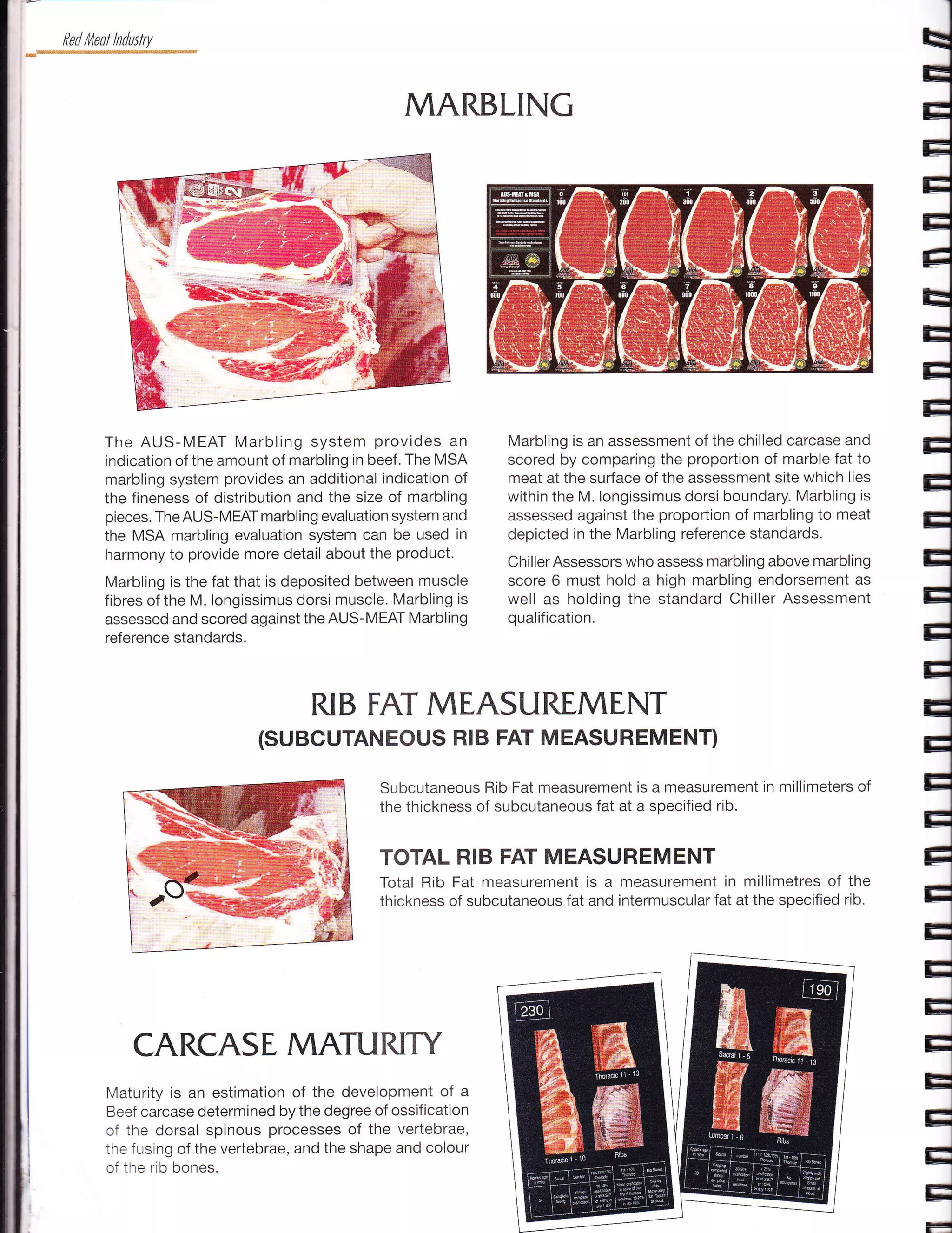 Ausmeat Handbook Australian Meat | PDF