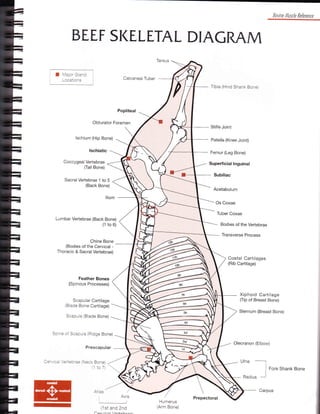 Ausmeat Handbook Australian Meat | PDF