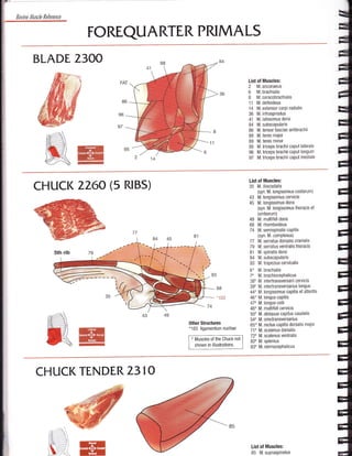 Ausmeat Handbook Australian Meat | PDF