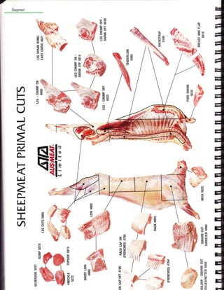 Ausmeat Handbook Australian Meat | PDF