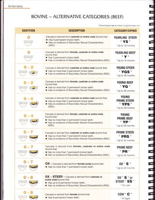 Ausmeat Handbook Australian Meat | PDF